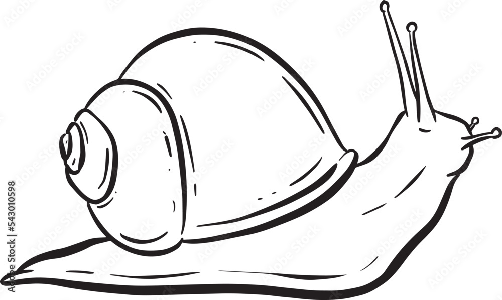 Line Art Outline of a Garden Snail with Shell for Logo or Mascot Design ...