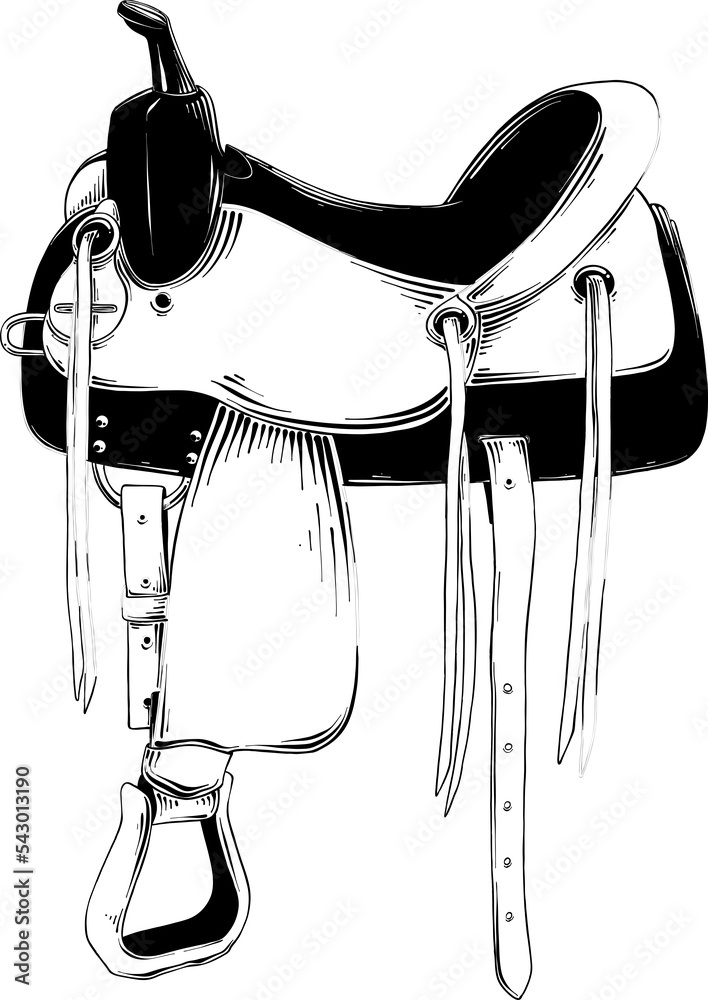 PNG engraved style illustration for posters, decoration and print. Hand ...