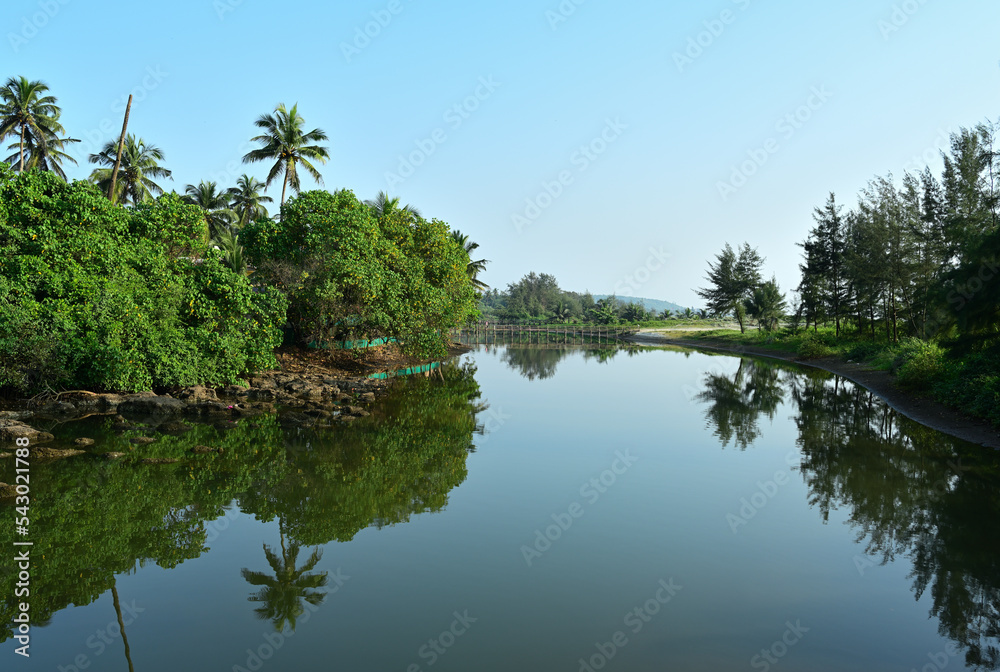 Off white wooden bridge over the backwater Stock Photo | Adobe Stock