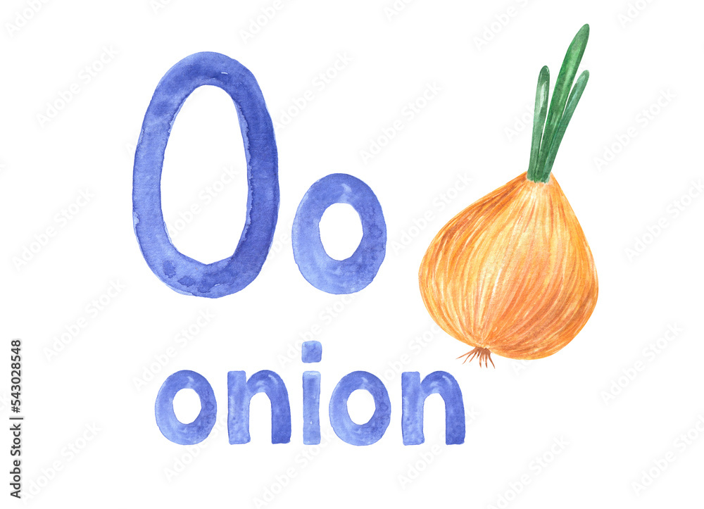 Aquarelle letter O for written word "onion", pictured book, card for ...