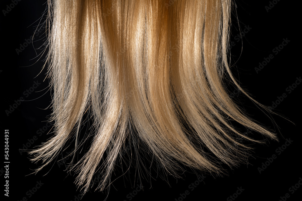 Natural curl of white hair illuminated on black isolated studio ...