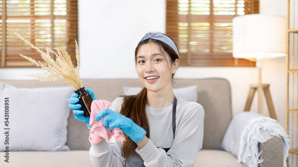 Beautiful housewife is cleaning things and vases in the living room ...