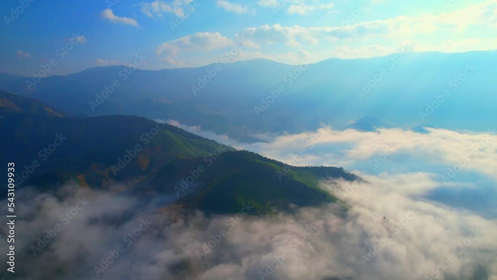 Drone is flying over a tropical forest in the morning. Sunlight shines ...