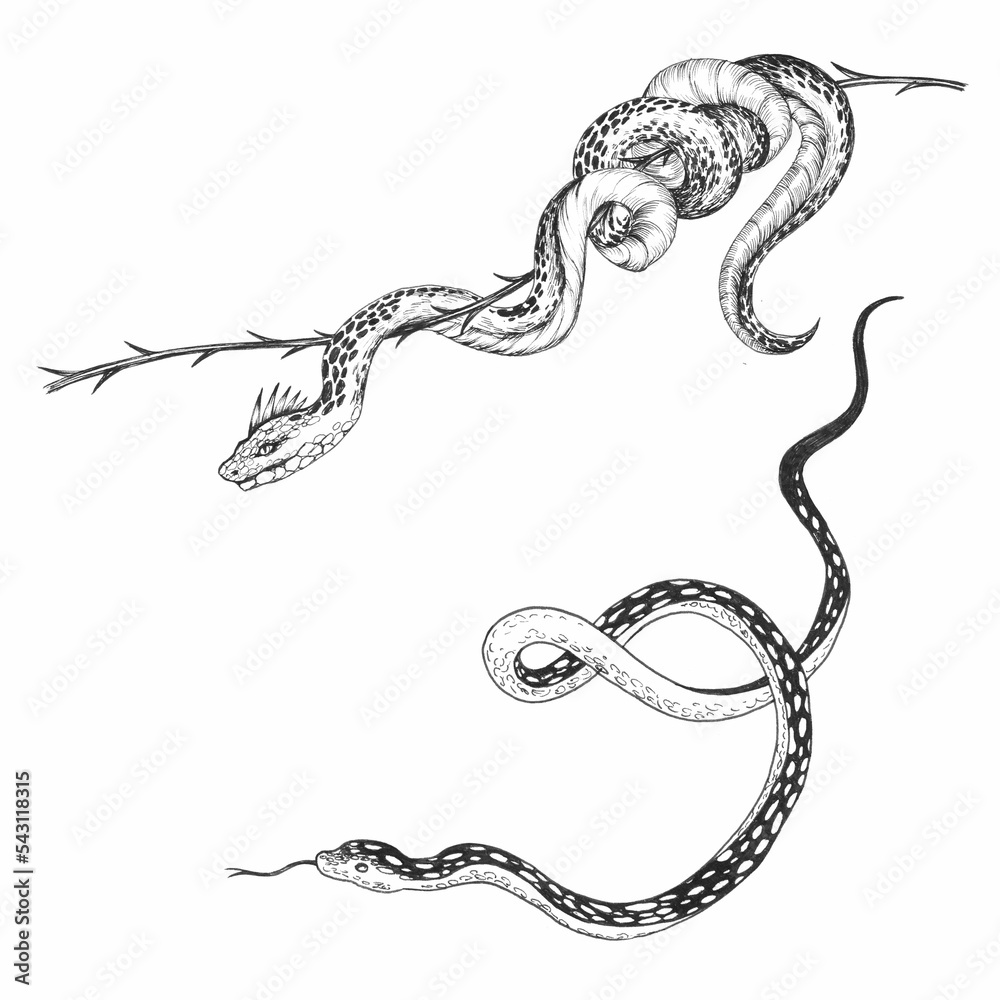 Beautiful stock set with hand drawn clip art unusual chimera snake ...
