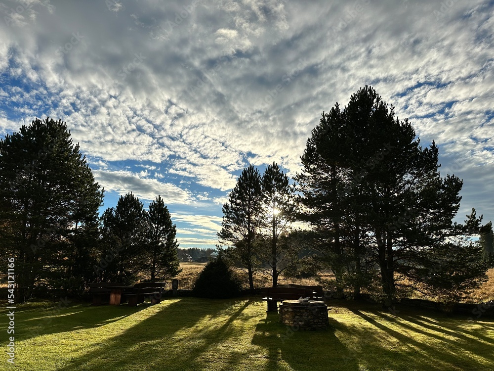 sunset in the park Stock Photo | Adobe Stock