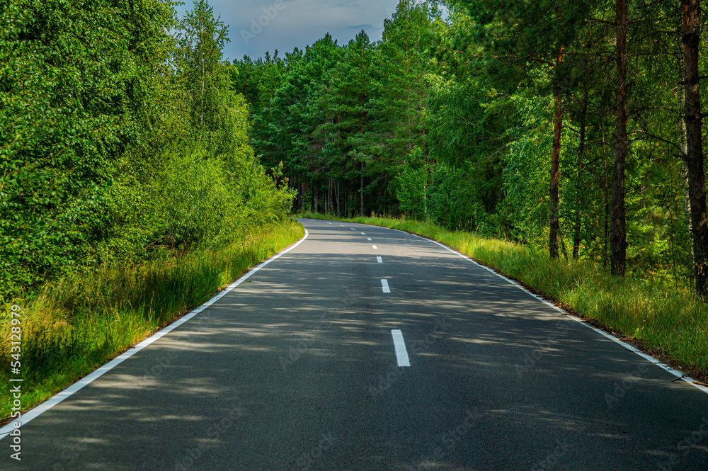 Two-lane asphalt road with white markings in the forest. Asphalt pavement. Road white markings ...