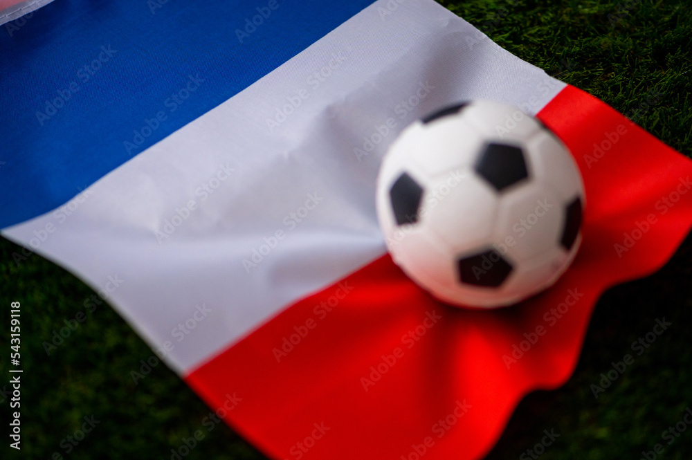 France national football team. National Flag on green grass and soccer ...