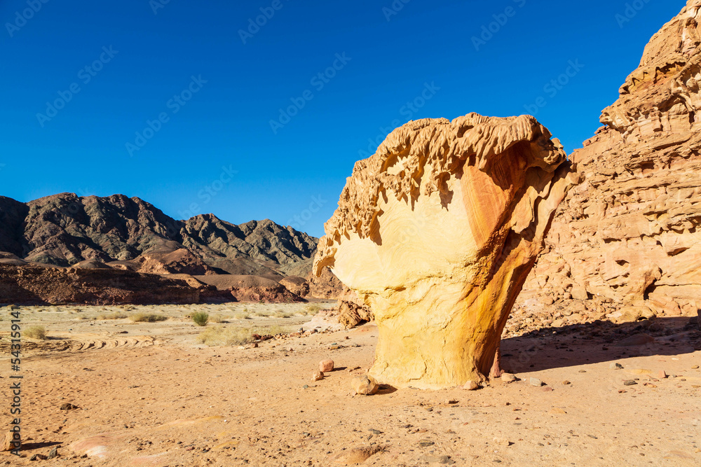 Mushroom rock nor far from White Canyon in Sinai desert. Sinai ...