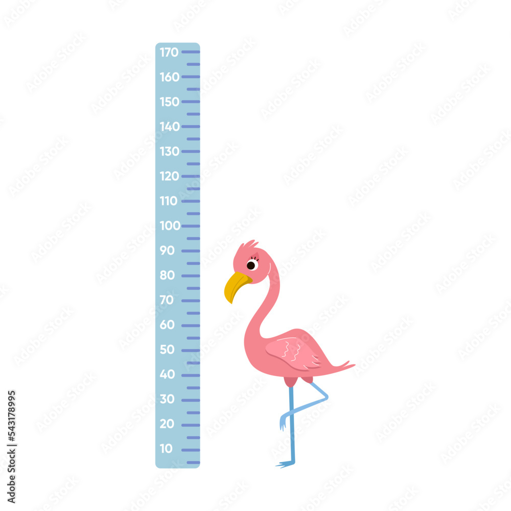 Height ruler with comic stout pink flamingo, vector illustration. Wall ...