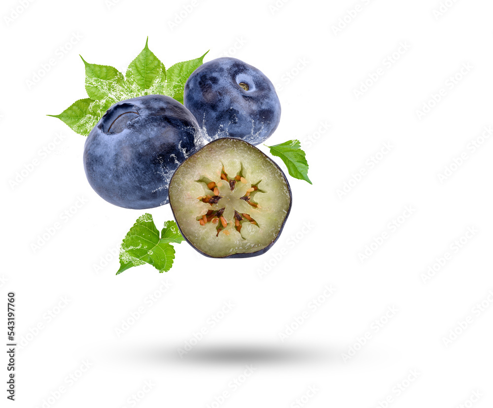 Water splash on fresh blueberry with leaves isolated on transparent ...