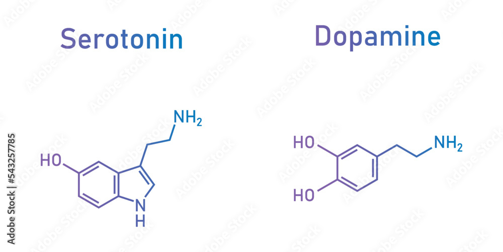 Dopamine and serotonin molecular structure. Scientific vector ...