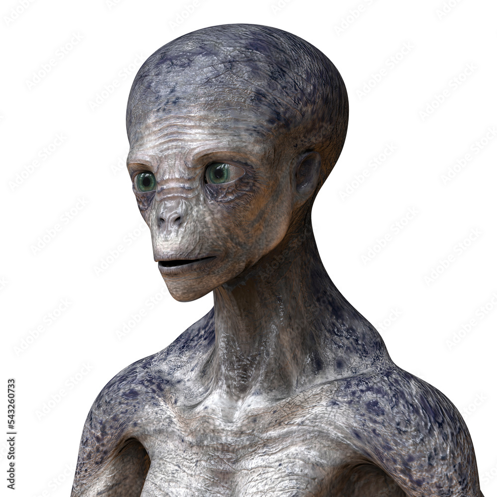 Alien Humanoid