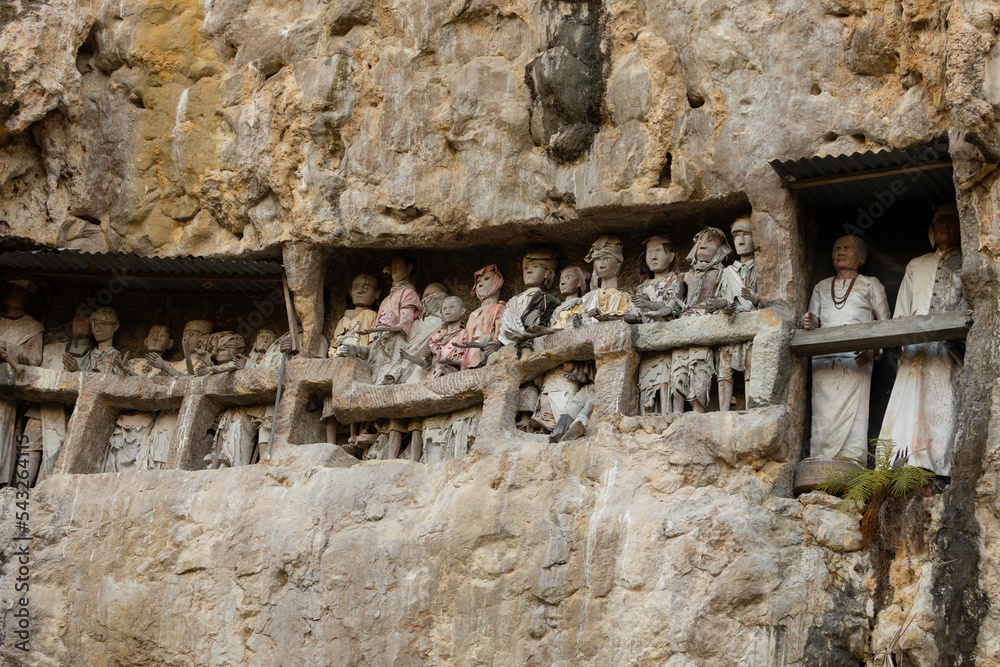 Foto de Wooden figures representing the dead at the burial site of Tana ...
