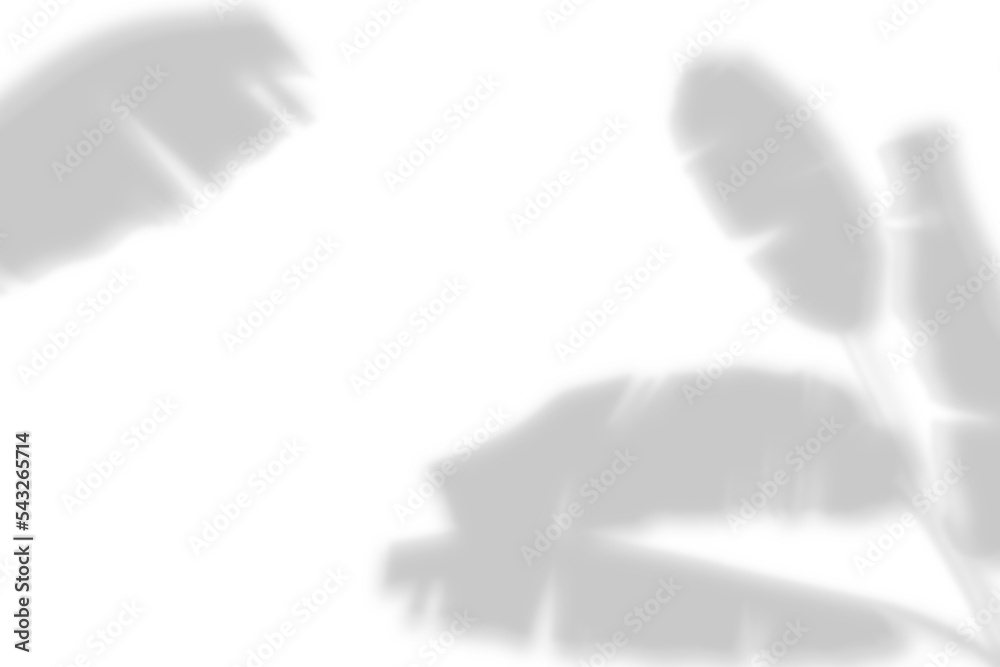 Transparent natural plant shadow. Light effect overlay. Mesh grid ...