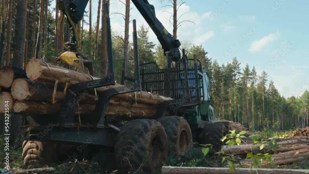 Logging Forwarder Machine Puts Harvested Tree Trunks Into Cargo Box ...