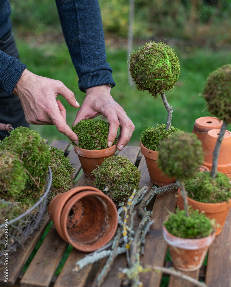 Weihnachtsdeko basteln, Baum aus Moos gestalten, Dekoration im Advent ...