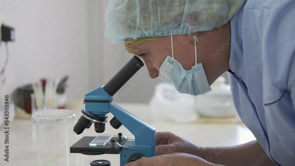 Analysing the production quality of organic food using a laboratory ...