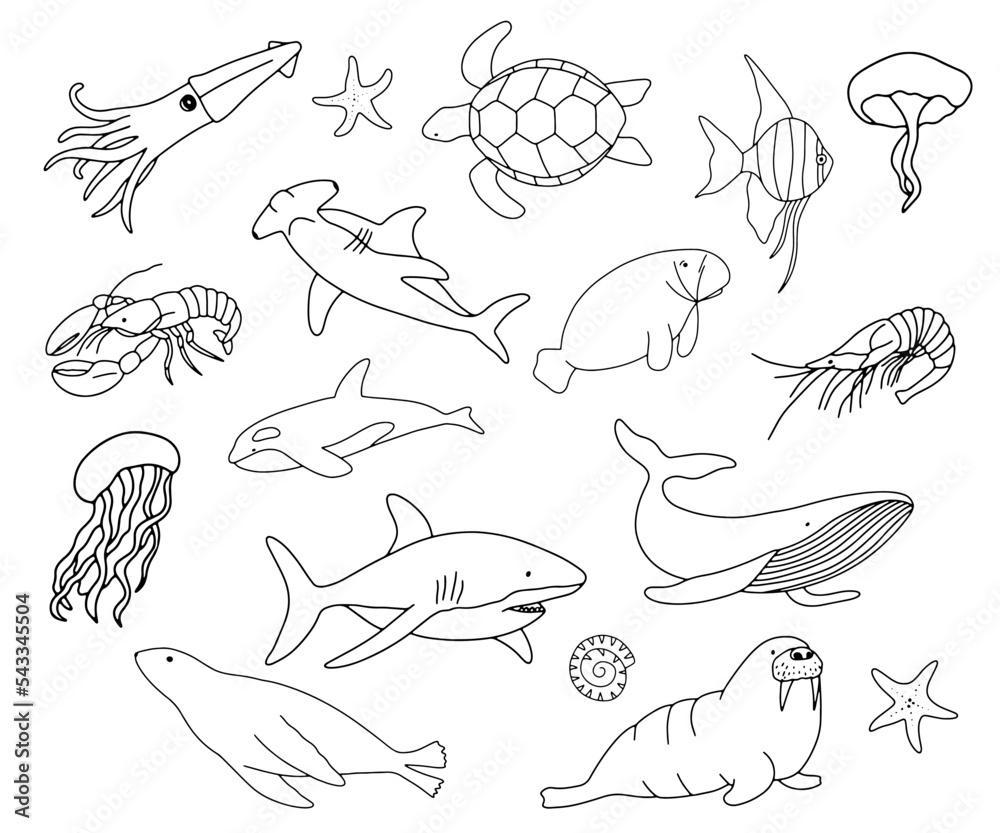 Ocean Animals Clipart Black And White