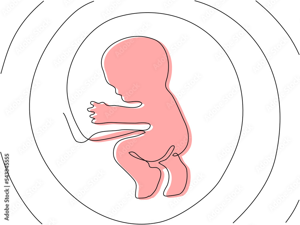The embryo in one line with colored silhouette. Concept of pregnancy ...