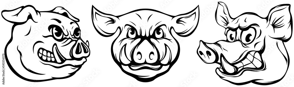 Pig mascot. Angry swine logo set. Hog illustration. Stock Illustration ...