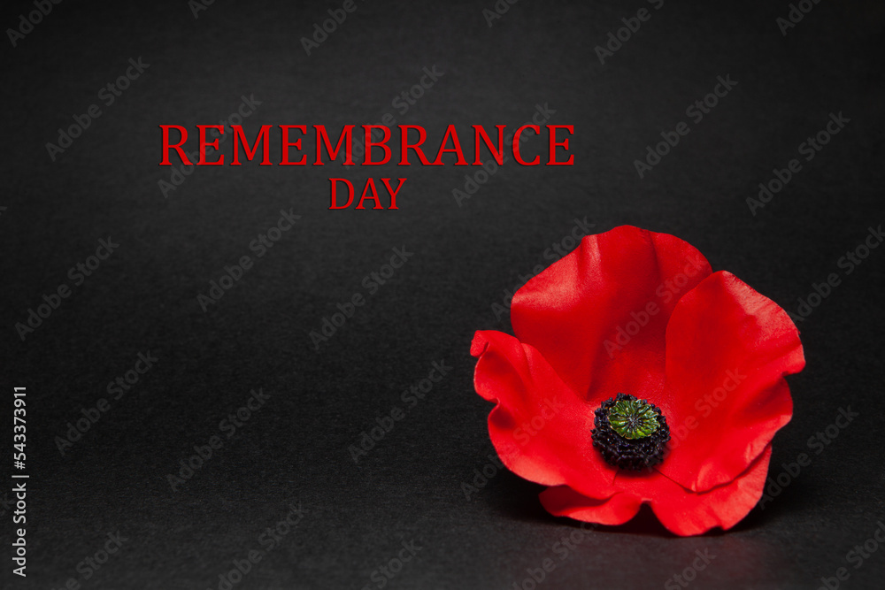 Poppy pin for Remembrance Day. Poppy flower on black background. Stock ...