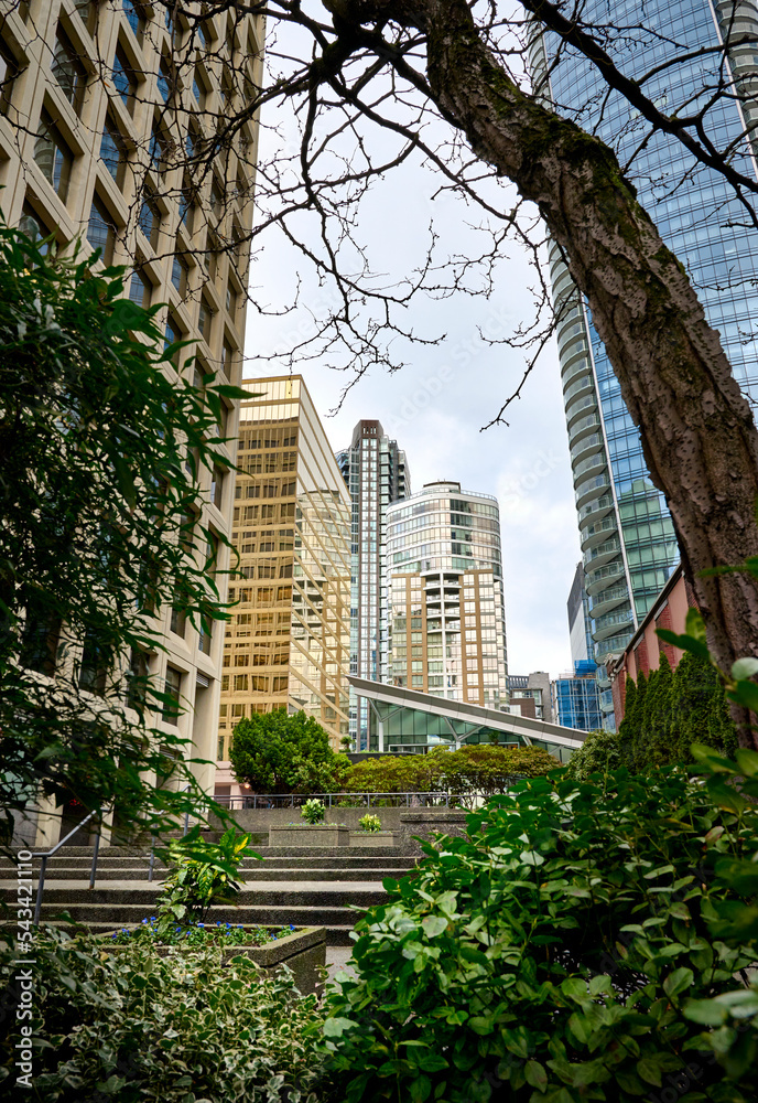 Downtown Vancouver in December. Modern high-rise buildings and green ...