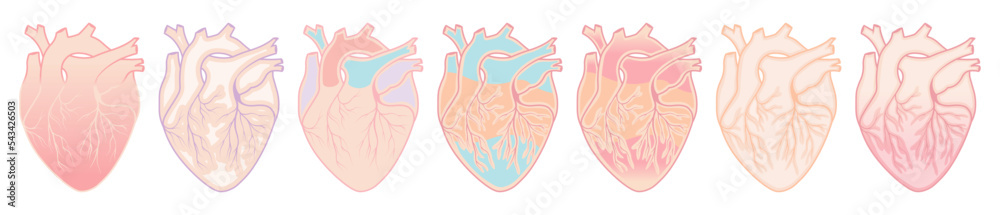 Set of anatomical hearts. Human Hearts with Vessels. Colorful hearts ...