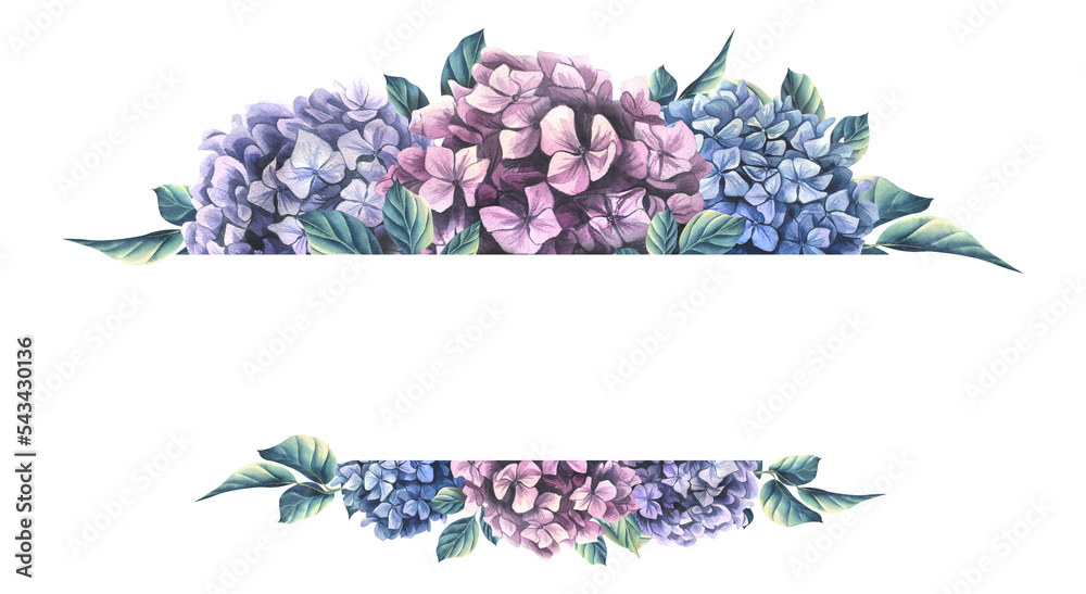 Hydrangea flowers are pink, lilac, blue with leaves. Watercolor ...