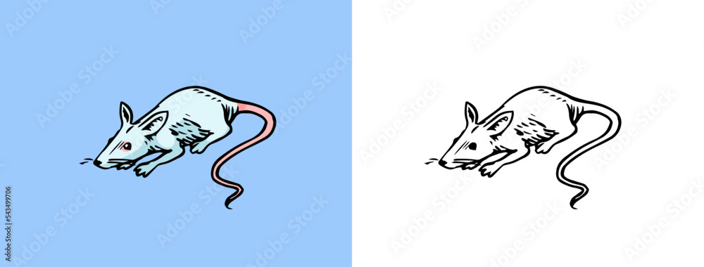 Laboratory rat. Mouse for conducting scientific experiments. Engraved ...