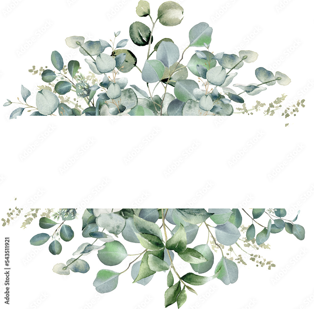 Eucalyptus leaves border. Watercolor illustration isolated on ...