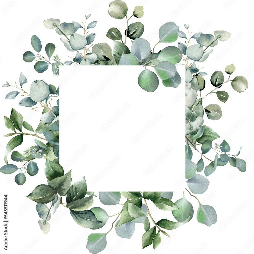 Eucalyptus leaves border. Watercolor illustration isolated on ... Eucalyptus leaves border. Watercolor illustration isolated on ...
