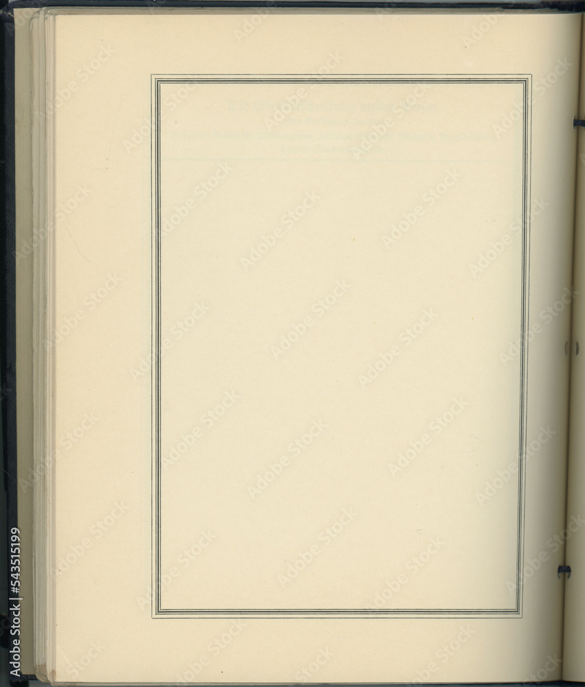 Empty page from a hundred year old book. It's part of a German family ...