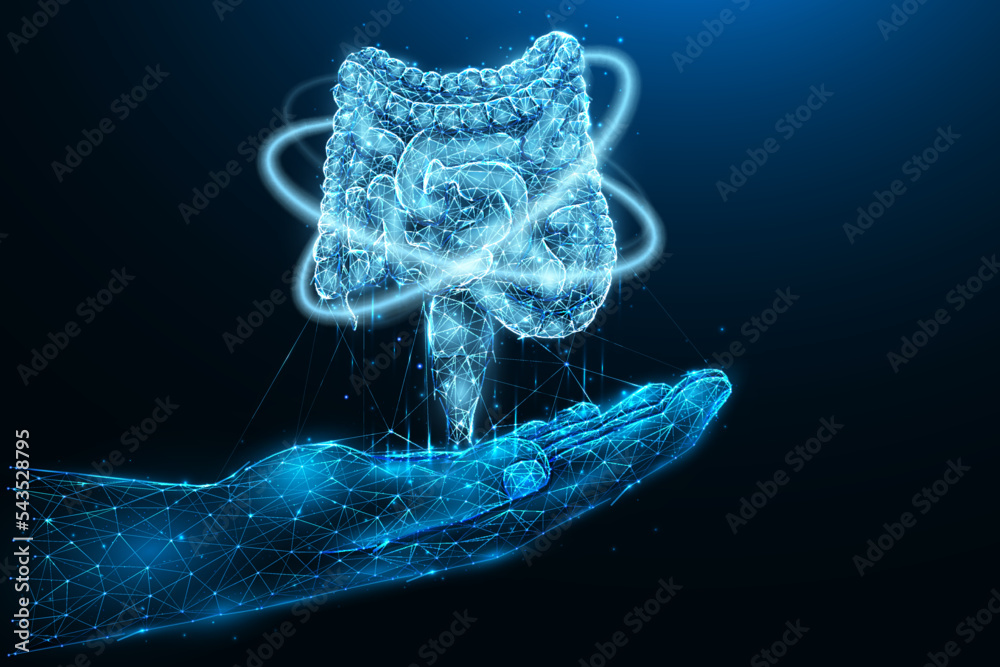 Intestinal recovery. Polygonal vector illustration of a hand with a ...