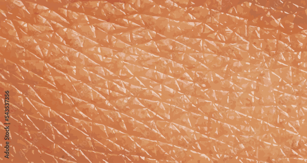 Vector human skin texture. Realistic skin pores background. 3d body dermal layer pattern ...