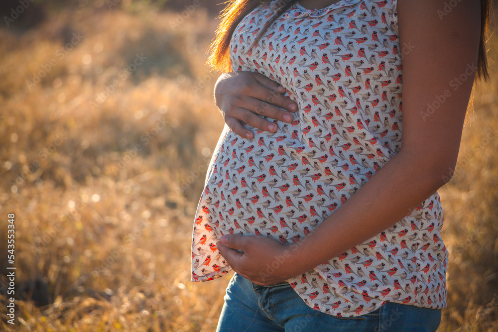 Mujer embarazo barriga atardecer latina Stock Photo | Adobe Stock