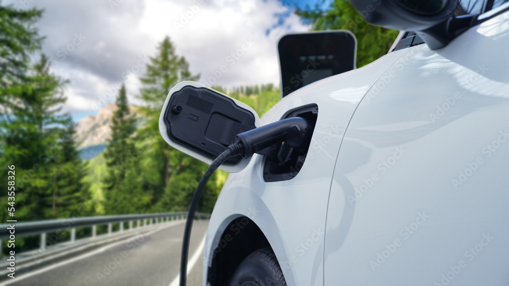 Progressive campaign to increase environmental awareness of electric ...