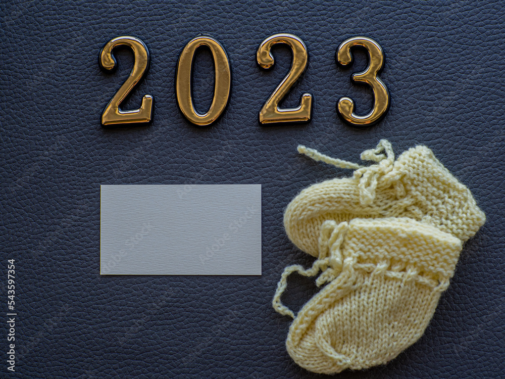 2023 and expectation concept. Top view. Flat lay. Happy motherhood ...