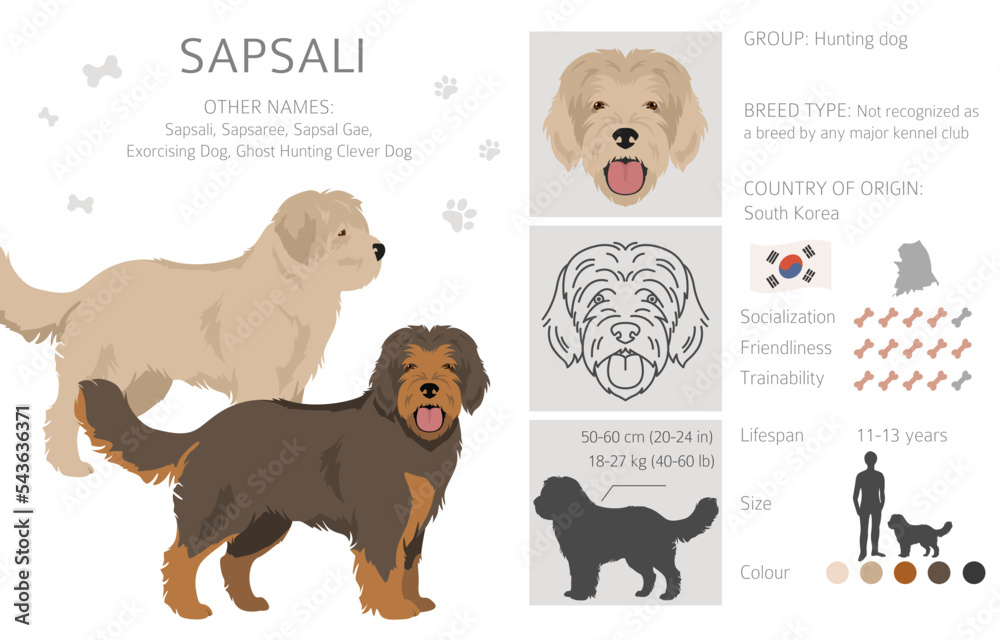 Sapsali dog clipart. All coat colors set. All dog breeds ...
