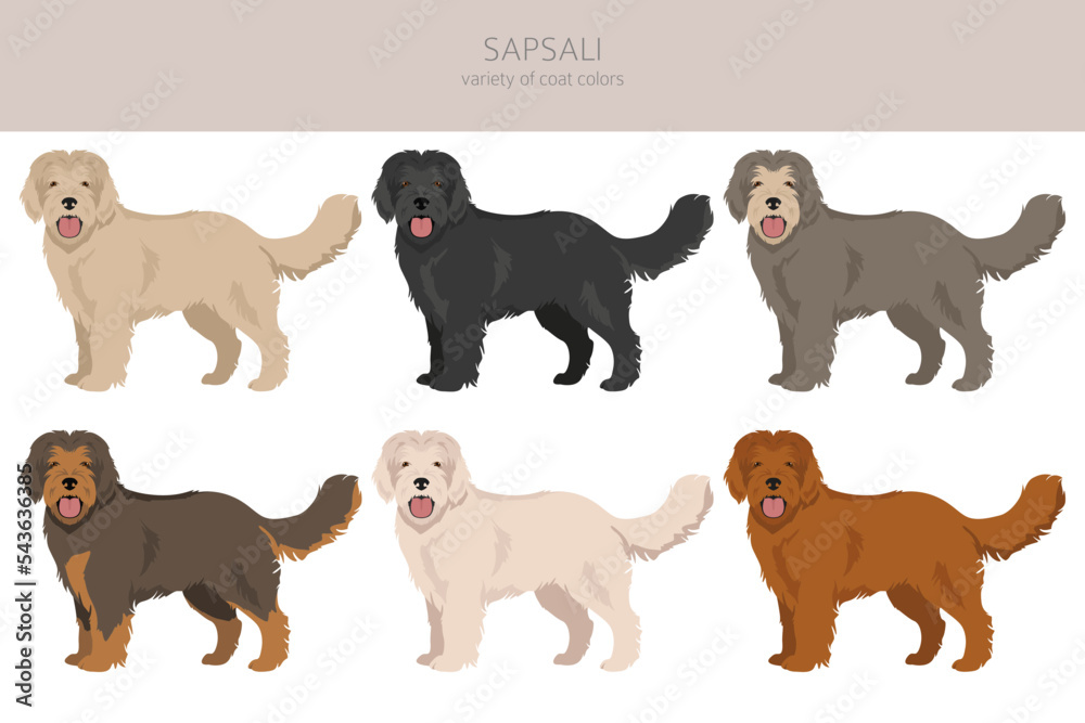 Sapsali dog clipart. All coat colors set. All dog breeds ...