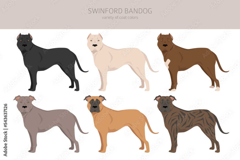 Swinford Bandog clipart. All coat colors set. All dog breeds ...