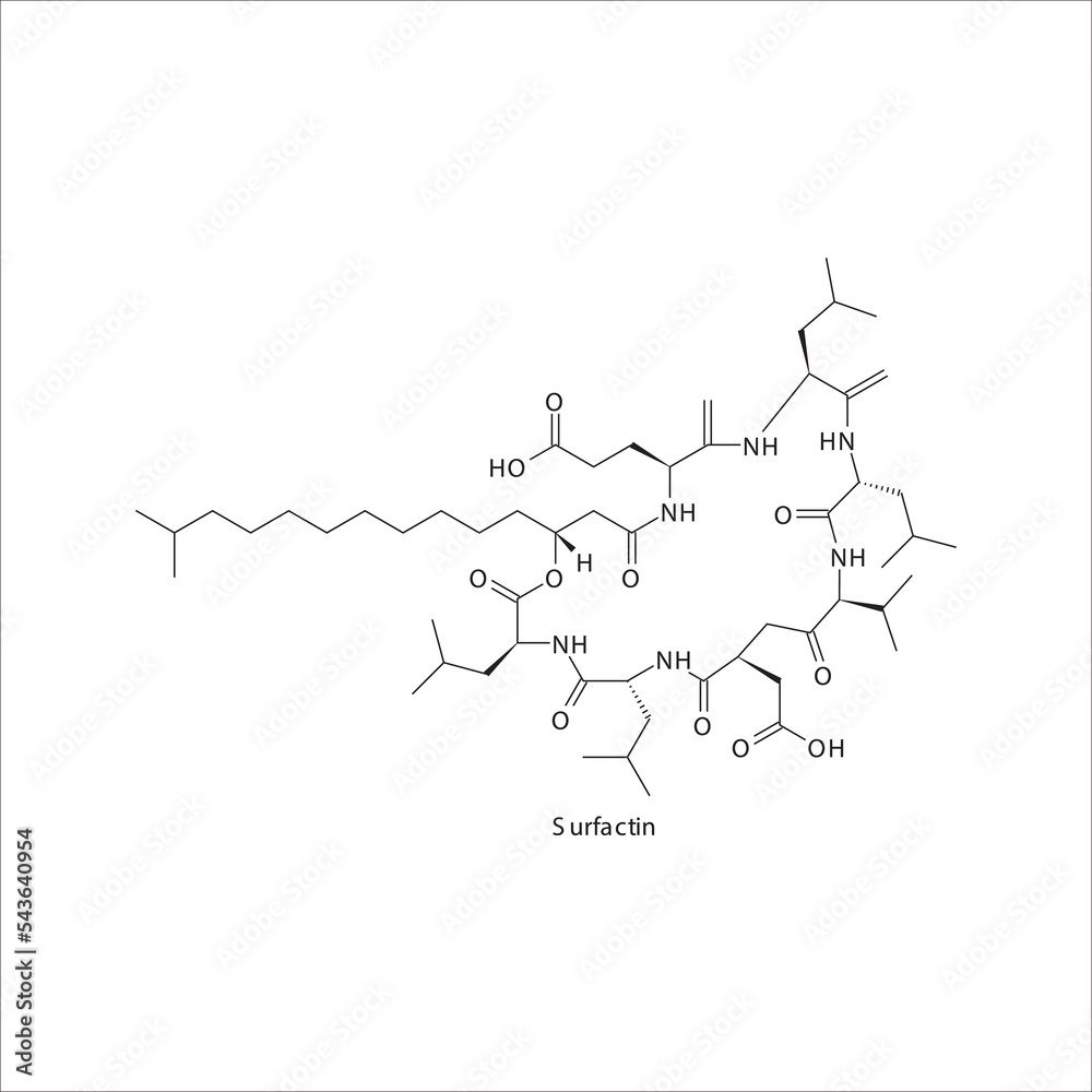 Surfactin flat skeletal molecular structure Lipopeptide antibiotic drug ...
