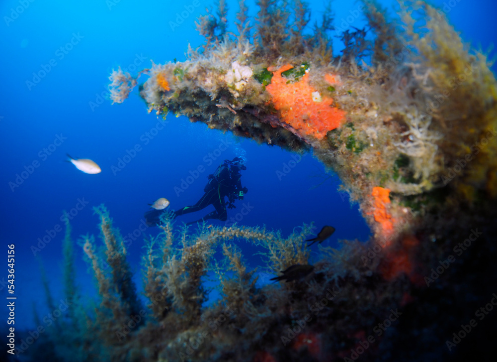 Scuba Diving and Underwater Photography Malta Gozo Comino - Wrecks ...