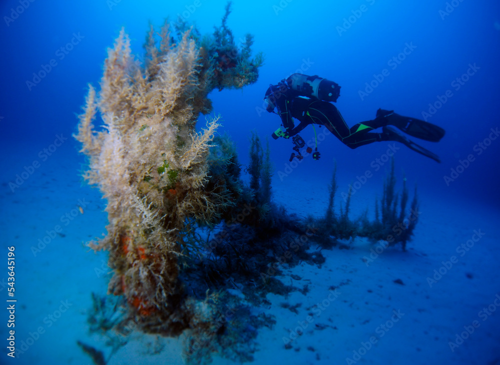 Scuba Diving and Underwater Photography Malta Gozo Comino - Wrecks ...