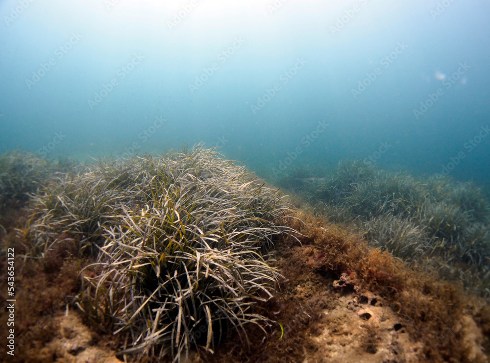 Scuba Diving and Underwater Photography Malta Gozo Comino - Wrecks ...