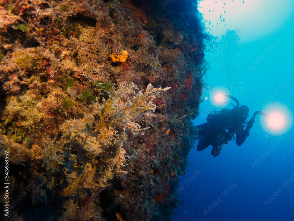 Scuba Diving and Underwater Photography Malta Gozo Comino - Wrecks ...