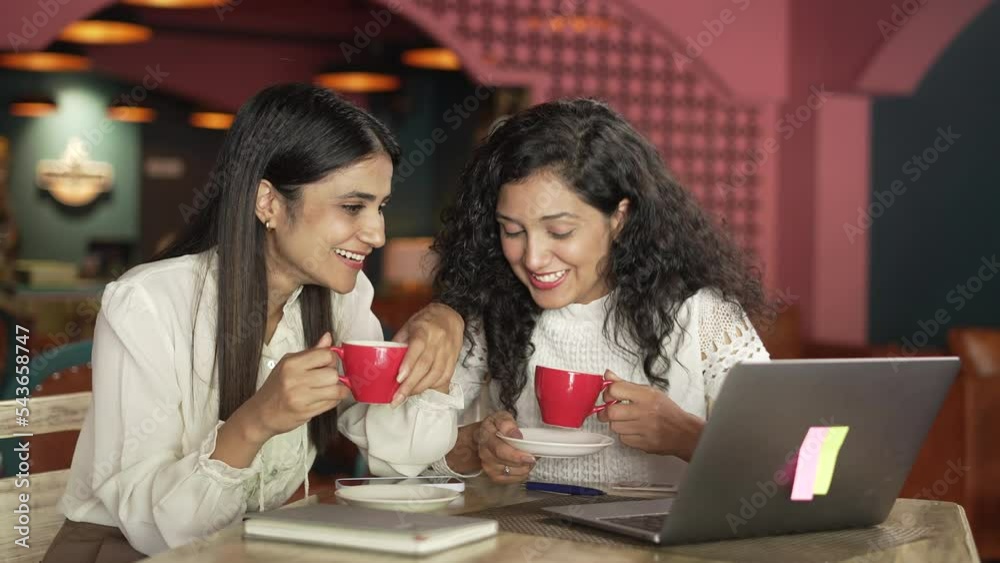 Two women professors discussing new academic plan at the coffee shop ...