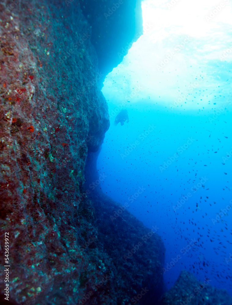 Scuba Diving and Underwater Photography Malta - Wrecks Reefs Marine ...