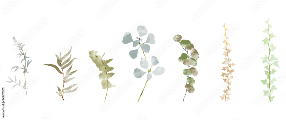 Set of watercolor winter botanical leaves vector background. Collection ...