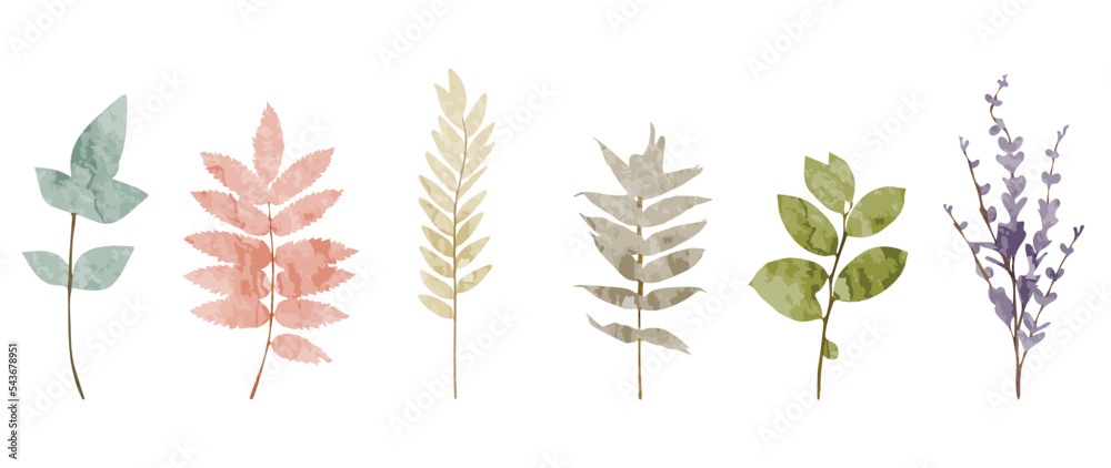 Set of watercolor winter botanical leaves vector background. Collection ...