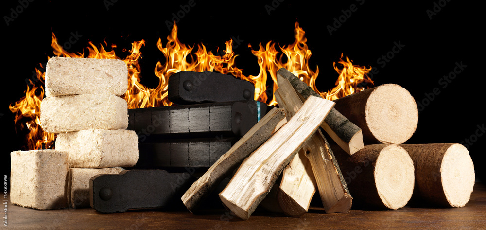Firewood, Coal and Sawdust Briquettes - Compressed Wood Fire Logs on ...